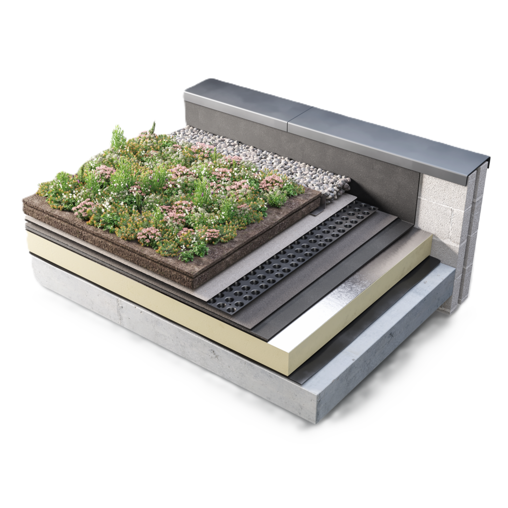 Shop our Sedum Blanket System Online | Sky Garden