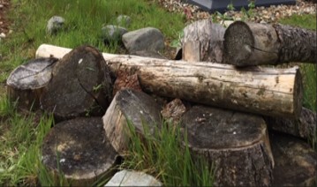 Shop Seasoned hardwood Logs Online | Sky Garden