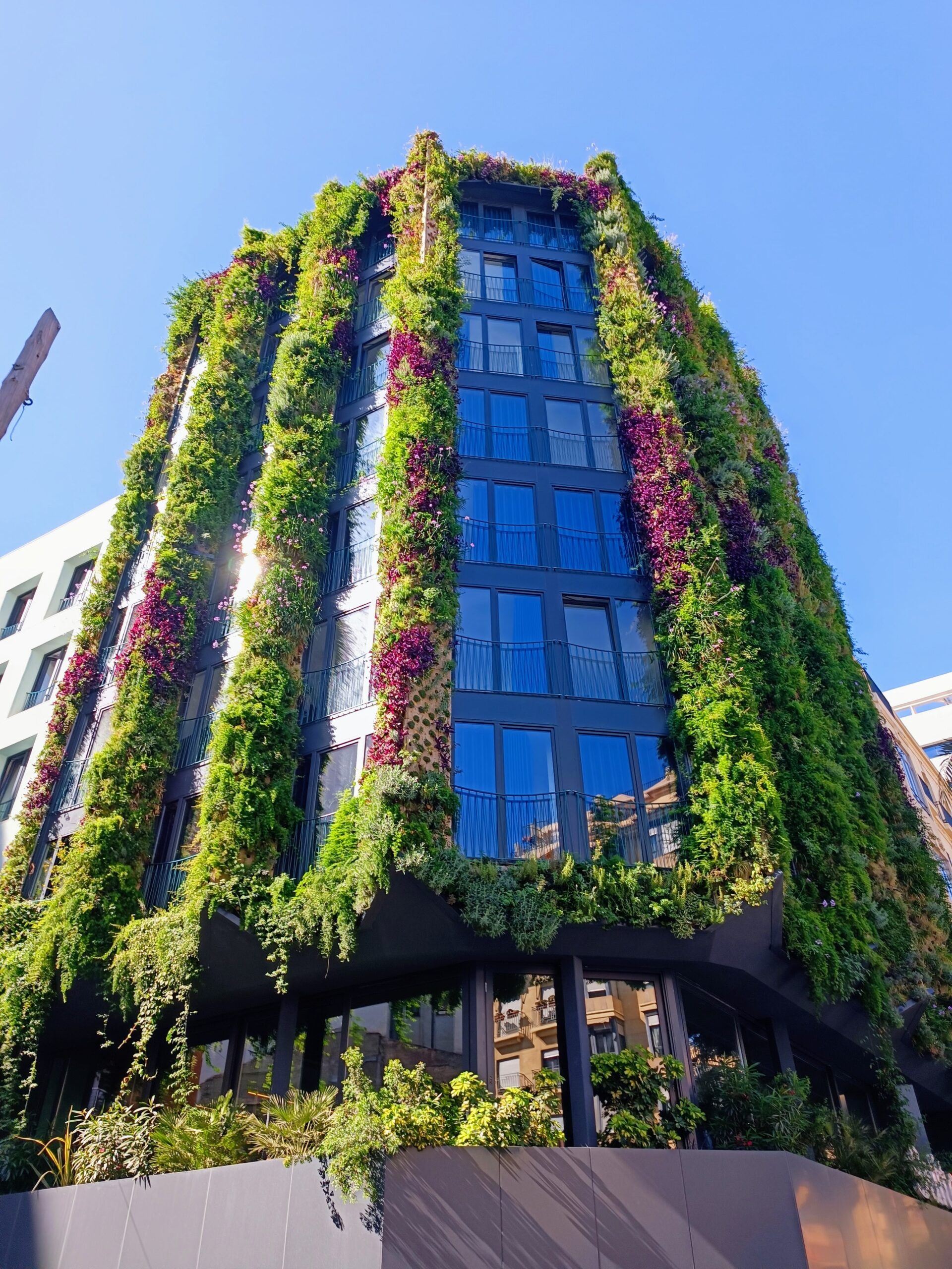 Revolutionary Green Walls Case Studies | AXA Co-Living
