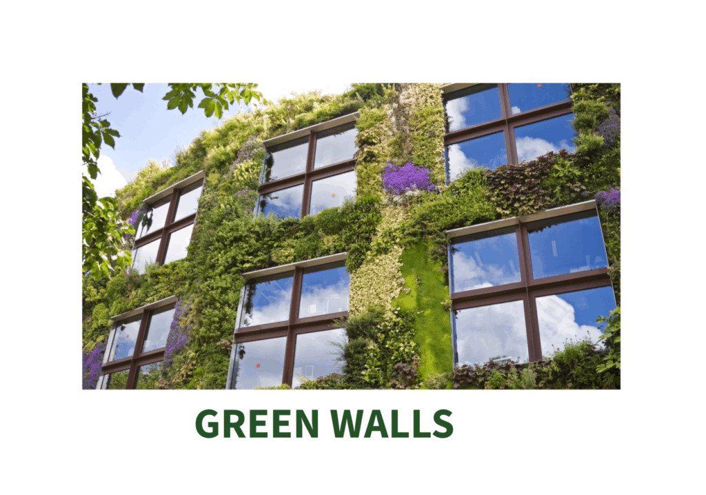 Green Wall | Sky Garden